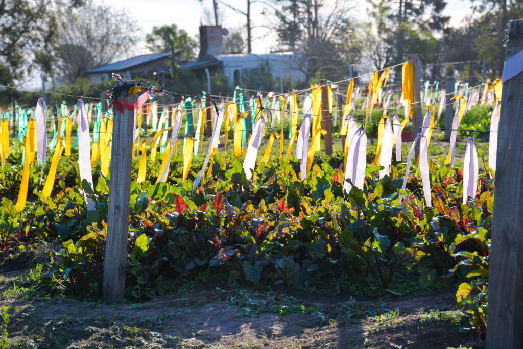Dos años de la creación de la Huerta Orgánica Comunitaria ...